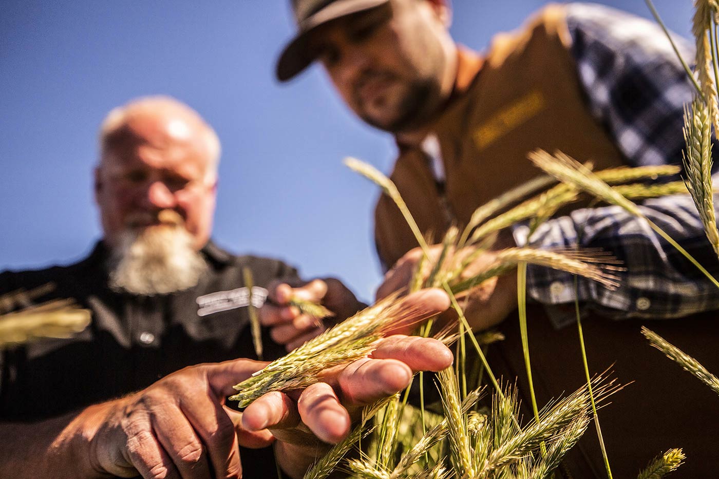 Frey Ranch Bottled-in-Bond Straight Rye Whiskey